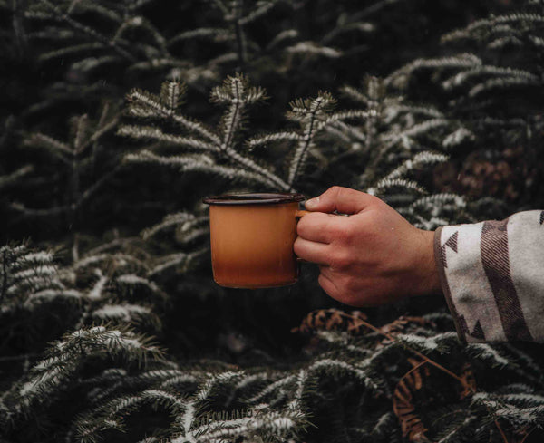 Winter Health Tips from Traditional Chinese Medicine (TCM) – Us Two Tea